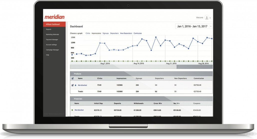 IT Systems – Meridian Tech plc